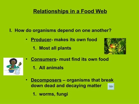 Relationships in Ecosystems | PPT | Biological Sciences | Science