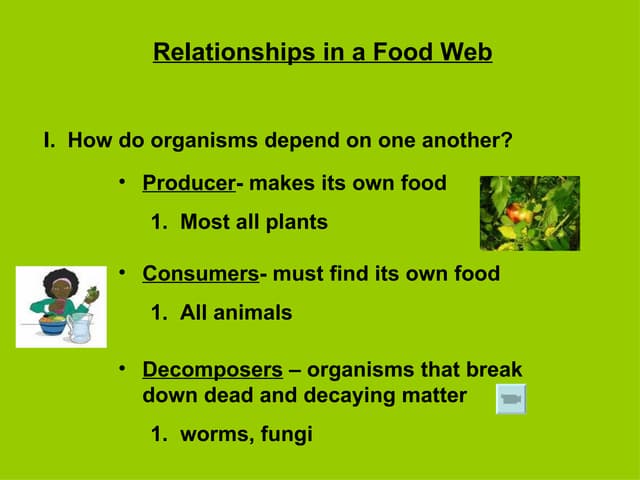 Relationships in Ecosystems | PPT