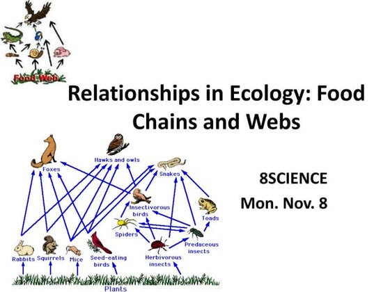 Food chains and food webs | PPTX | Food & Drink