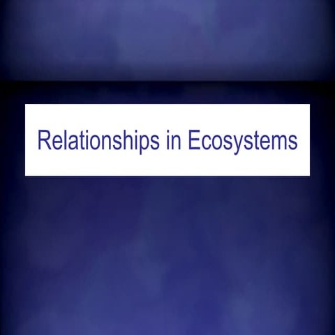 Relationships in ecosystems | PPT