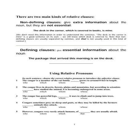 Relative 2 Exercises | PDF