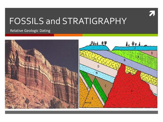 Principles of Stratigraphy | PPTX
