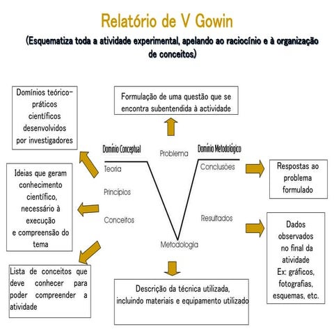 Relatório V de Gowin.ppt