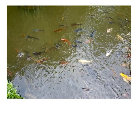 Relaxing in Thailand by Ingemar Pongratz | PPT