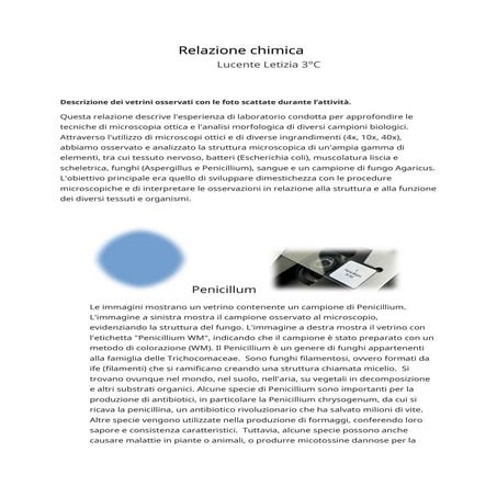 Relazione di Chimica sulla descrizione di alcuni vetrini | DOCX