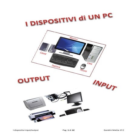 Relazione di informatica su dispositivi di output ed input | PDF