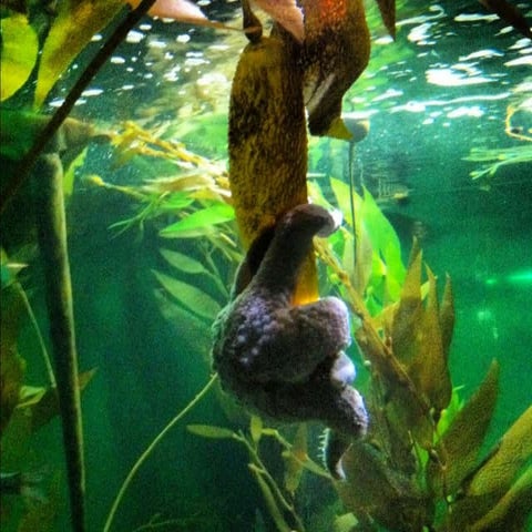 Relentless optimism | PPTX