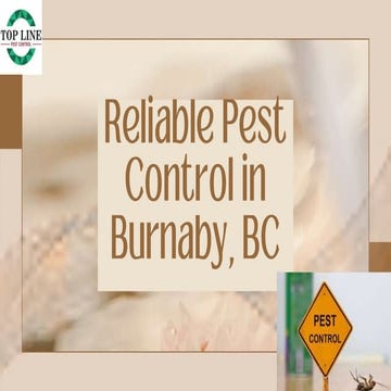 Reliable Pest Control in Burnaby, BC.pptx