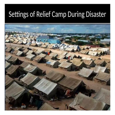 Relief Camp Setting.pptx during disaster and wrt management | PPT