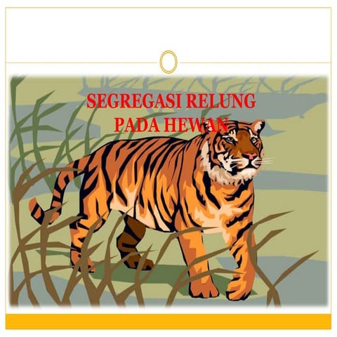 Relung pada hewan | PPTX