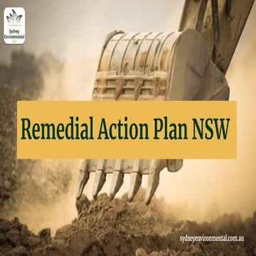Remedial Action Plan NSW.pptx