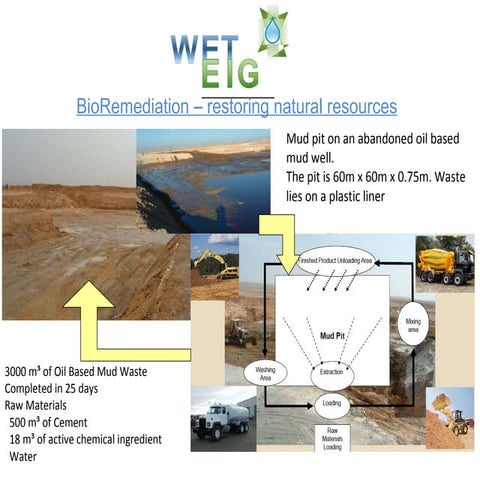 The Future of Soil Remediation: Innovations in Land Restoration | PPTX