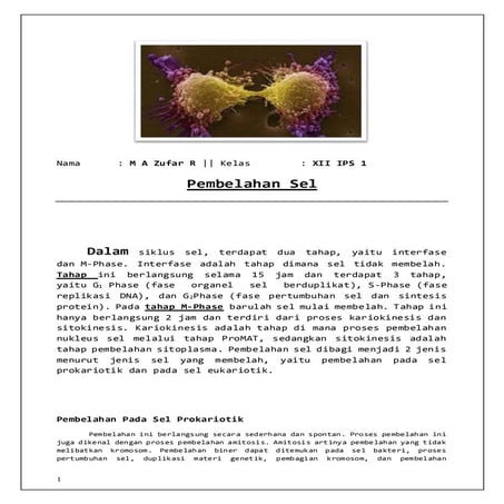 Remed pts biologi xii ips i zufar | DOCX