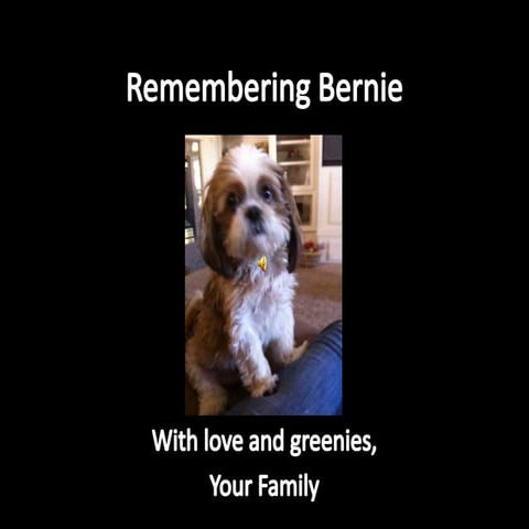 Remembering Bernie Copy | PPTX