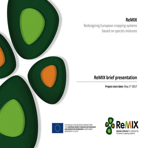 ReMIX project presentation 2018 | PPT