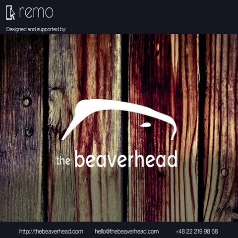 remo product introduction | ODP