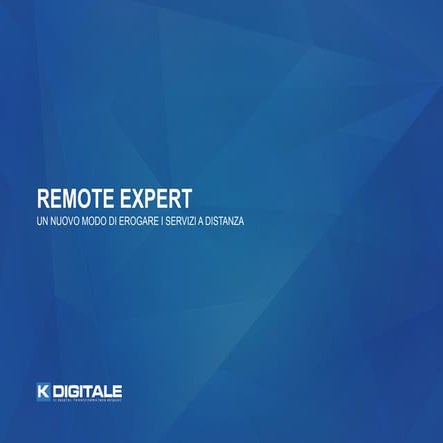 Remote Expert K-Digitale | PDF