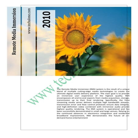 Remote media-immersion | DOC