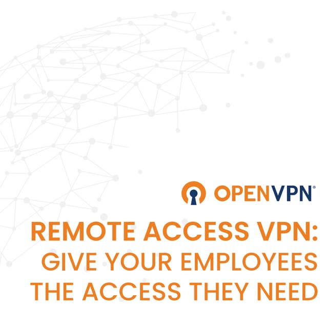 Remote Access VPN: Give Your Employees the Access They Need | PDF