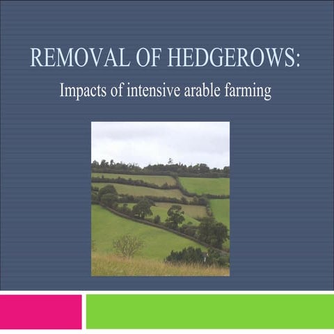 Removal Of Hedgerows | PPT