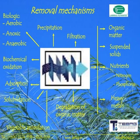 Removal mechanisms | PPTX | Chemistry | Science