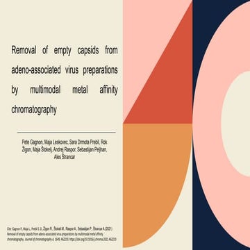 Removal of empty capsids from adeno associated virus preparations by multimodal metal affinity ...