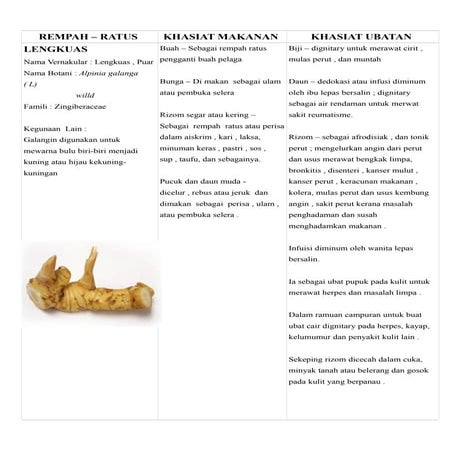 Rempah ratus | DOC