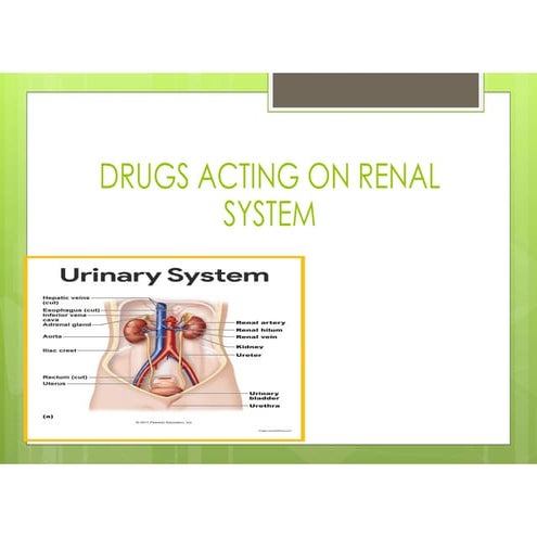 renal-drugs.pdf and gI tract helps you know | PDF