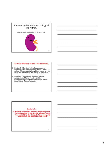 Renal Physiology (I) - Kidney Function & Physiological Anatomy - Dr ...