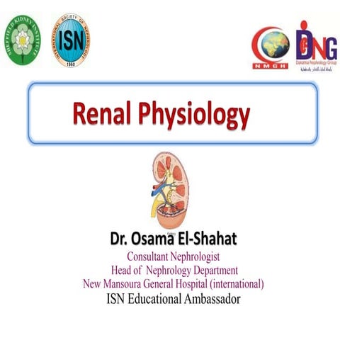 Renal physiology-1 | PPTX