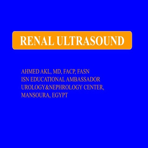 Renal us belkas-26_11_2018 | PDF | Digestive Disorders | Diseases and ...