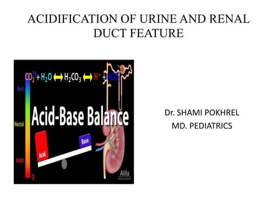 RENAL CONTROL OF ACID BAS,E BALANCE.pptx