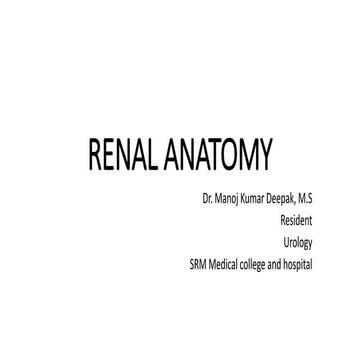Renal Anatomy - applied aspects | PPTX
