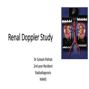 Renal doppler | PPTX