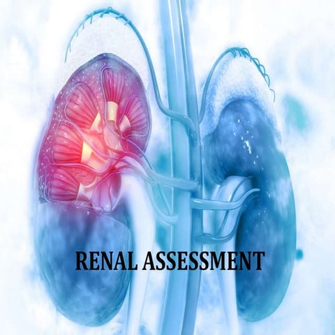 Renal Assessment | PPT