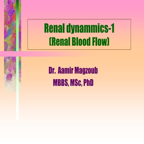 Renal blood flow.pdf