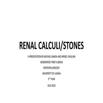 RENAL CALCULI PRESENTATION FINAL COPY.pptx