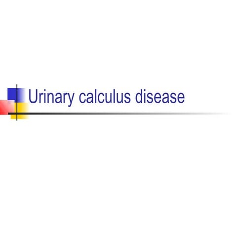 Renal calculus disease | PPT