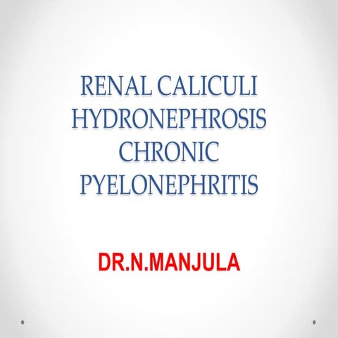 RENAL CALICULI.pptx