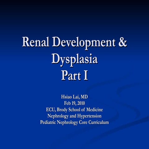 Renal Development Dysplasia 2 | PPT