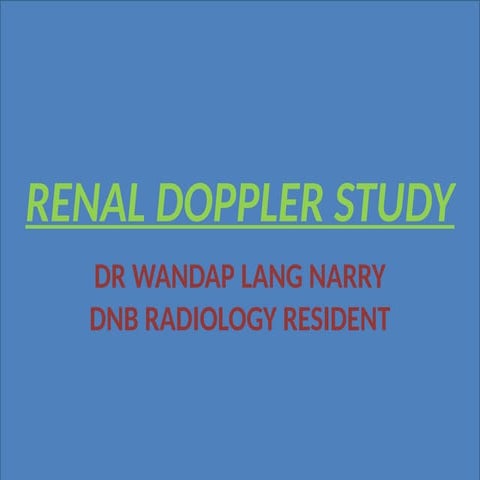 A brief about Renal artery Doppler Study.pptx