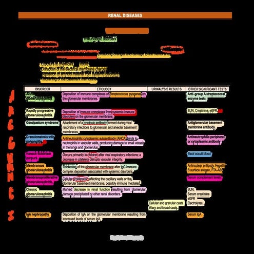 renal dse renal dse renal dse renal dse renal dse | PDF