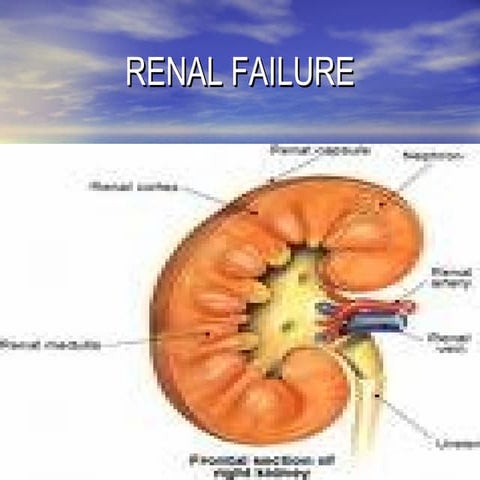 Renal failure - MEDICAL SURGICAL NURSING | PPT