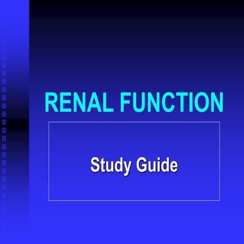 Renal Function.ppt