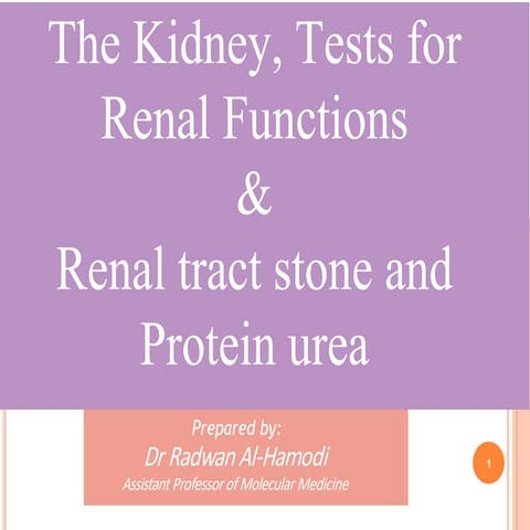 biochemistry of Renal Functions Tests.pdf