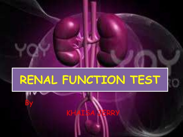Renal function test