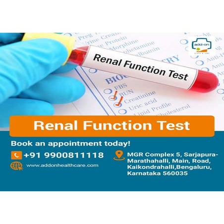 WHAT IS RENAL FUNCTION TEST (Kidney test in Bangalore) | PDF