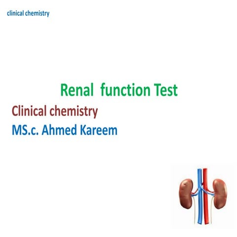 Document about Renal function Test.pdff