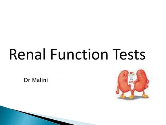 Renal clearance test | PPTX | Endocrine and Metabolic Diseases ...