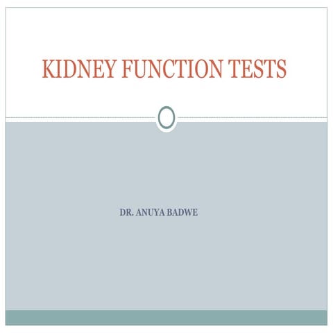 Renal Function Tests Renal Health Assessment Ppt Ppt